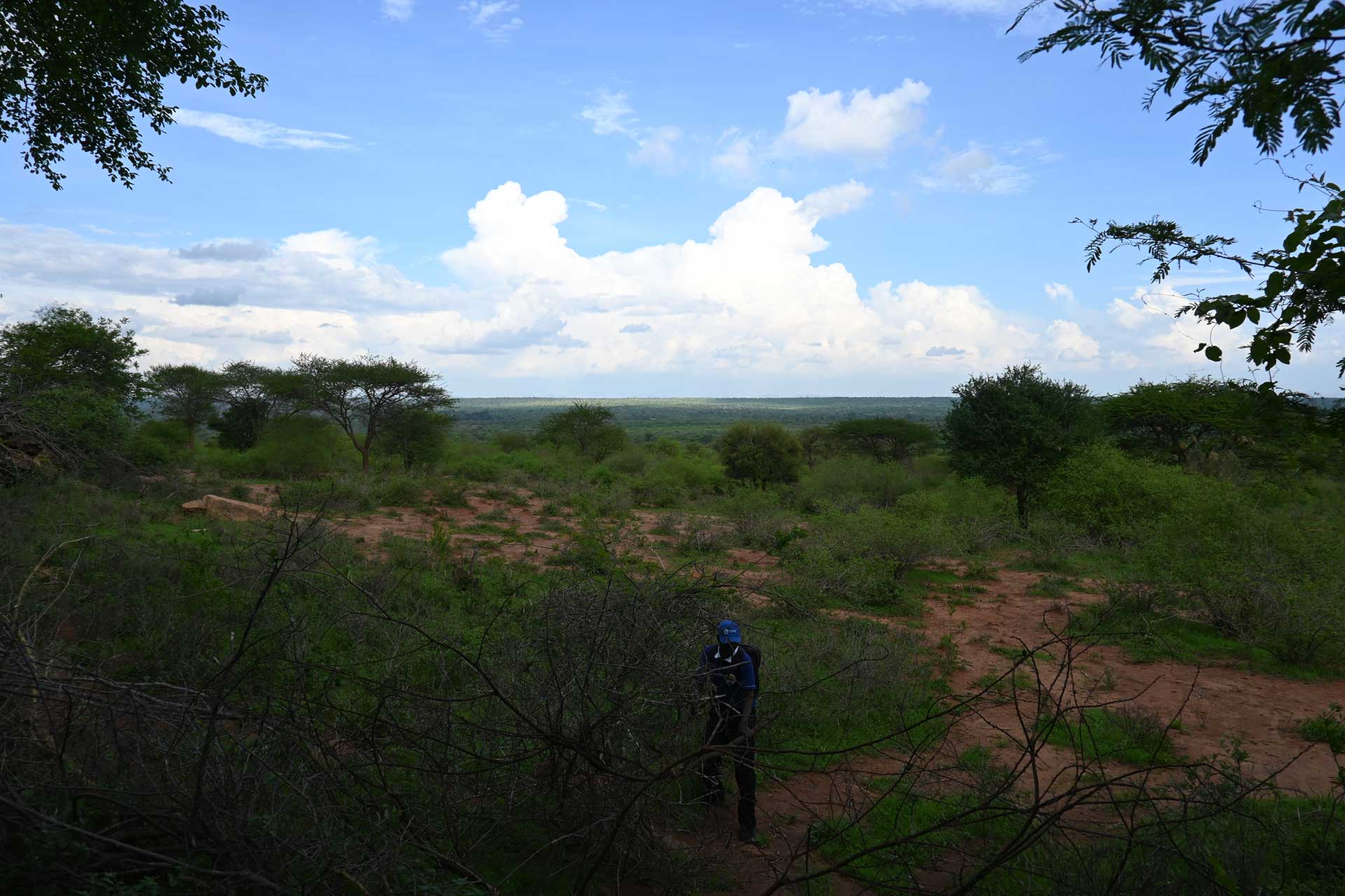 Jeconiah Kibagendi - Africa Wood Grow